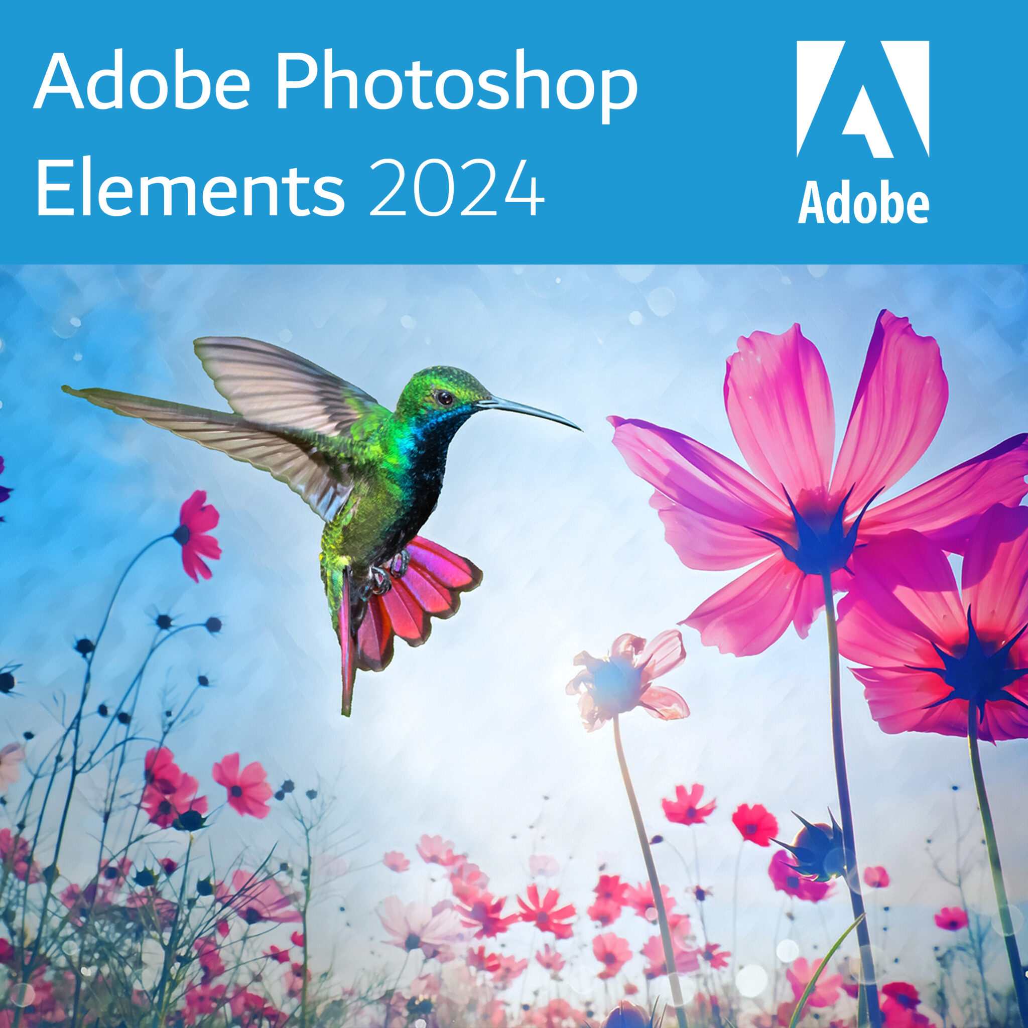 Adobe Photoshop Elements 2024 | SwissSoftware24